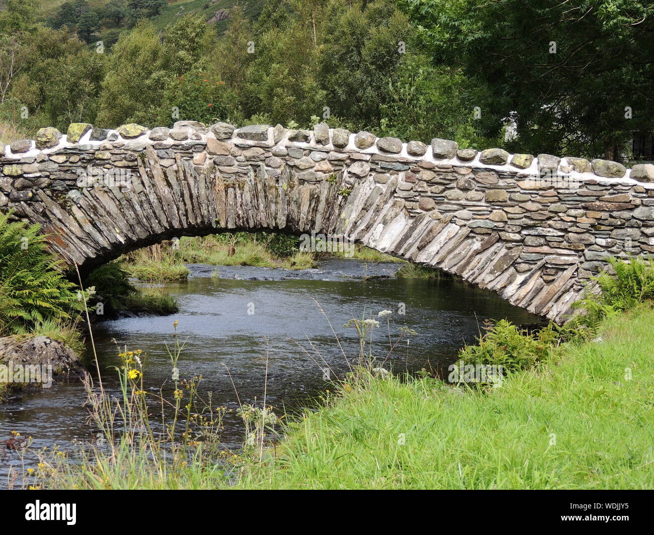 Grass and arch hi-res stock photography and images - Alamy