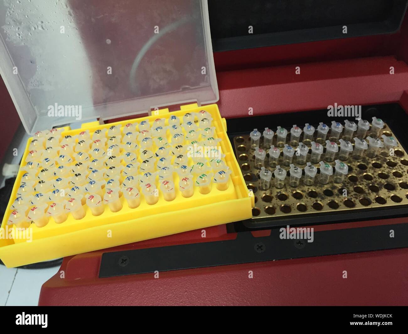 Group of test tubes hi-res stock photography and images - Alamy