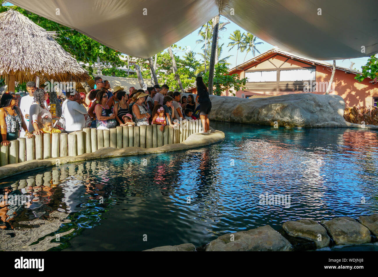 Tourists observing turtles in big tank at The Project Tamar, Praia do ...