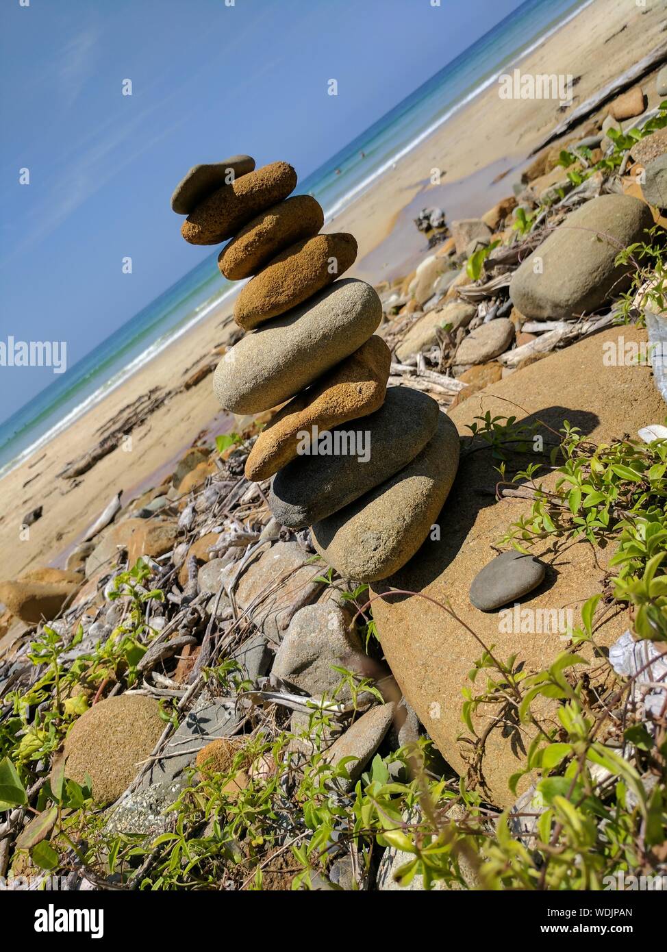 Cactus beach hi-res stock photography and images - Alamy