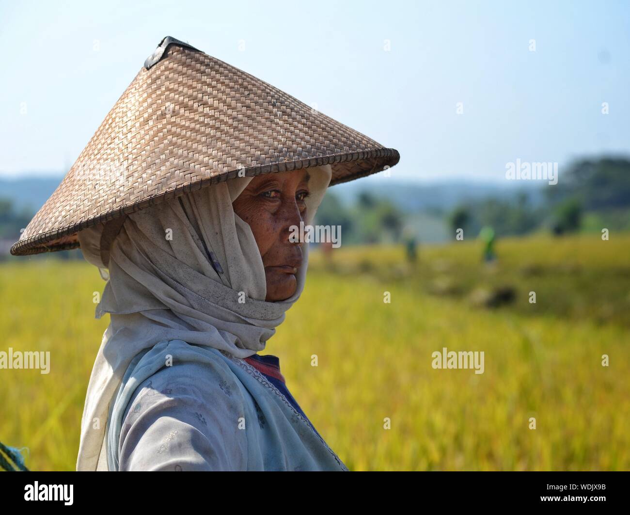Asian farmer female hi-res stock photography and images - Alamy