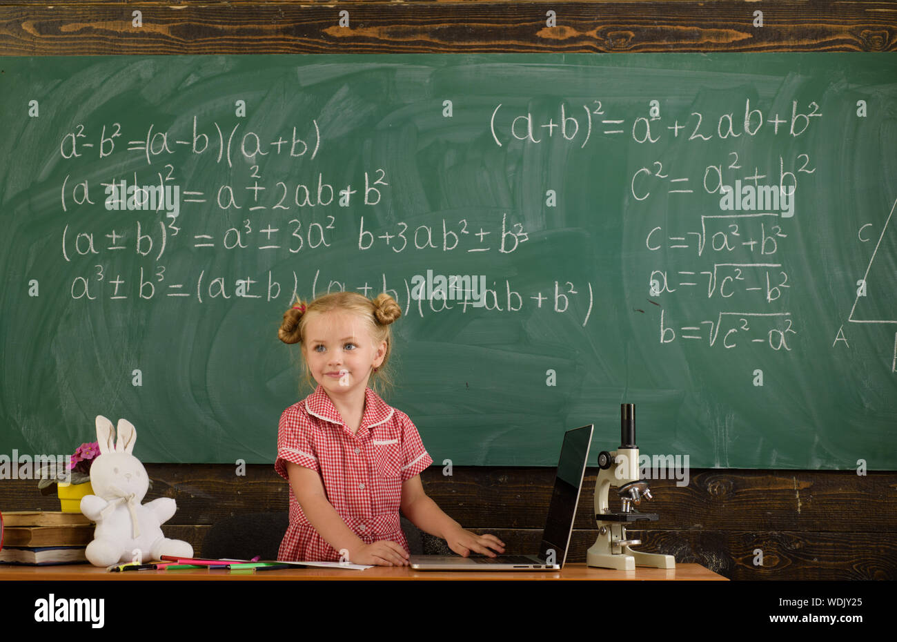 Little girl learn using computer technology in classrom. Education with ...