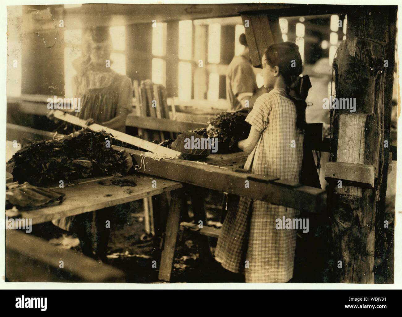 Child farm labor u s hi-res stock photography and images - Alamy