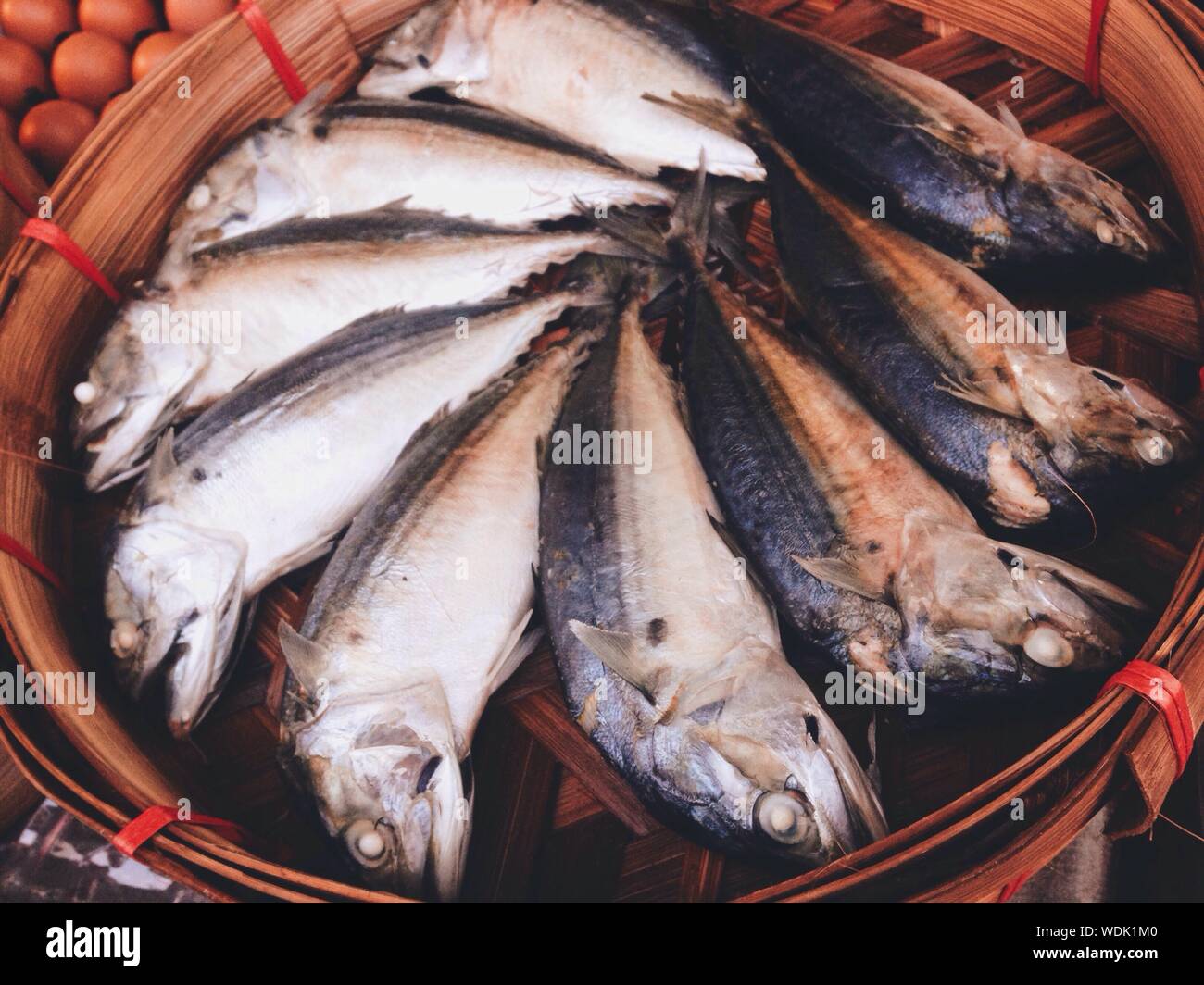 Small fish in container hi-res stock photography and images - Alamy