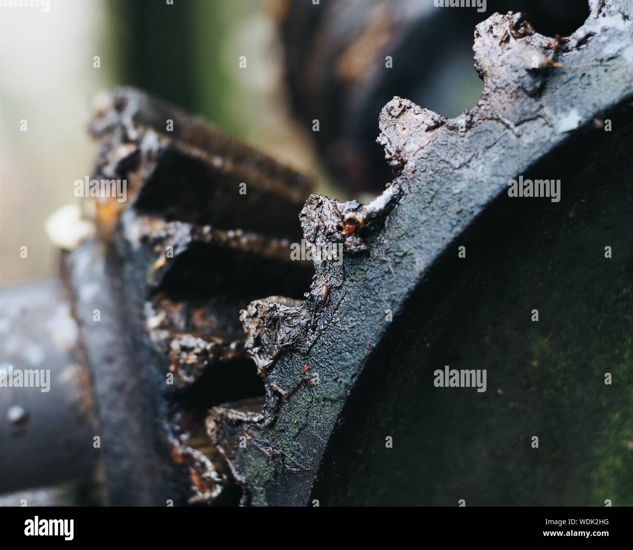 Metallic gear hi-res stock photography and images - Alamy