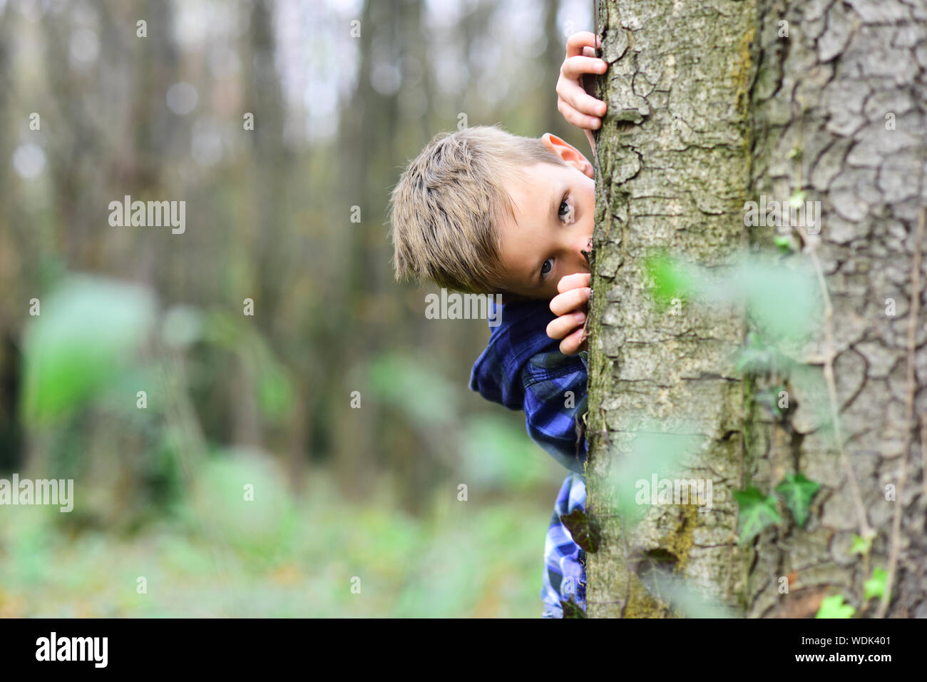 I spy game hi-res stock photography and images - Alamy