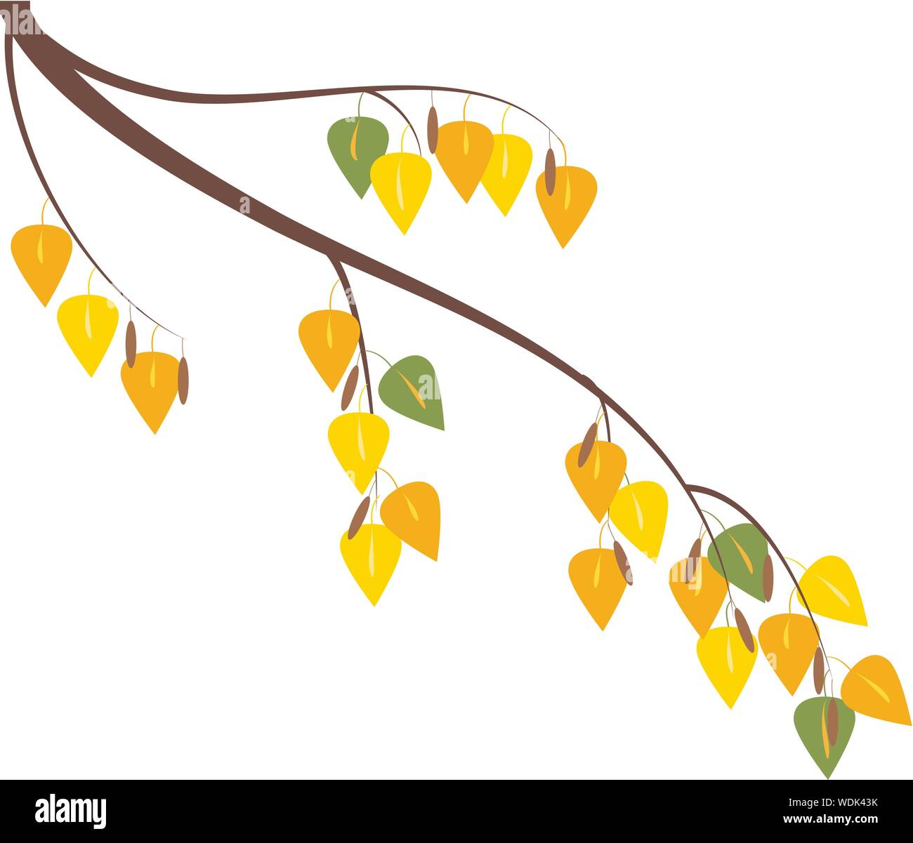 Diagonal branch Stock Vector Images - Alamy