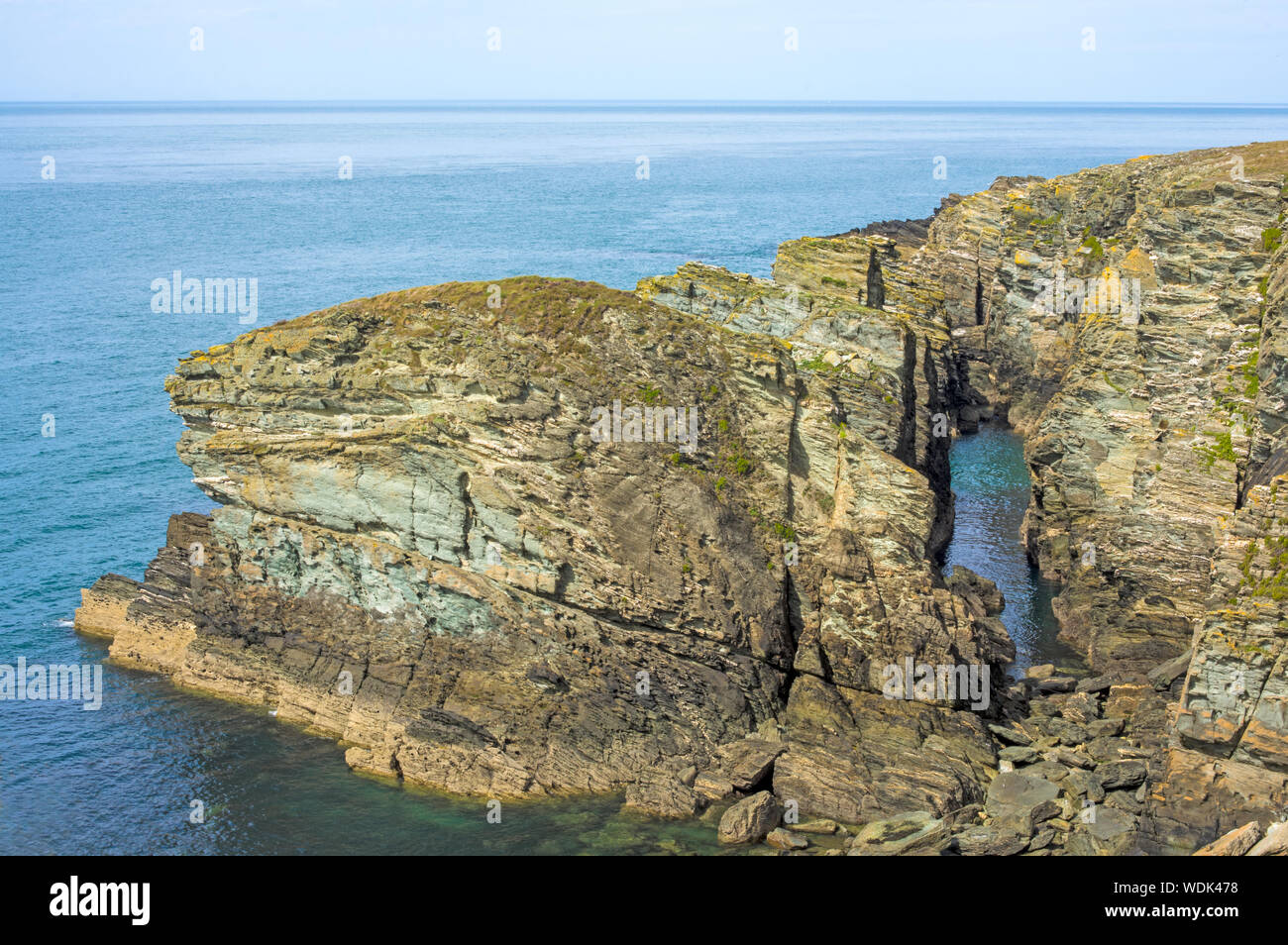 Rock eel hi-res stock photography and images - Alamy