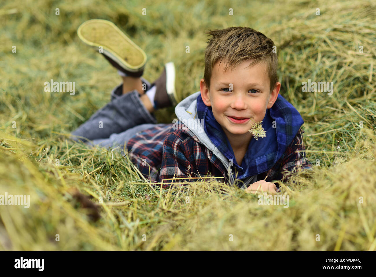 Springtime of life. Little boy enjoy springtime in countryside. Little ...