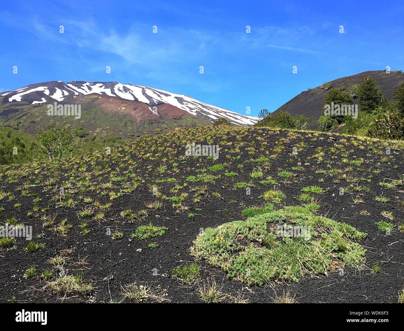 Barren Grass High Resolution Stock Photography and Images - Alamy
