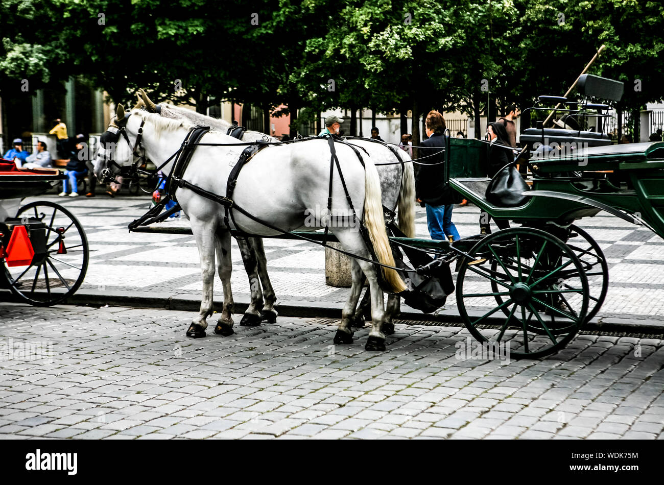 Carriage side view hi-res stock photography and images - Alamy