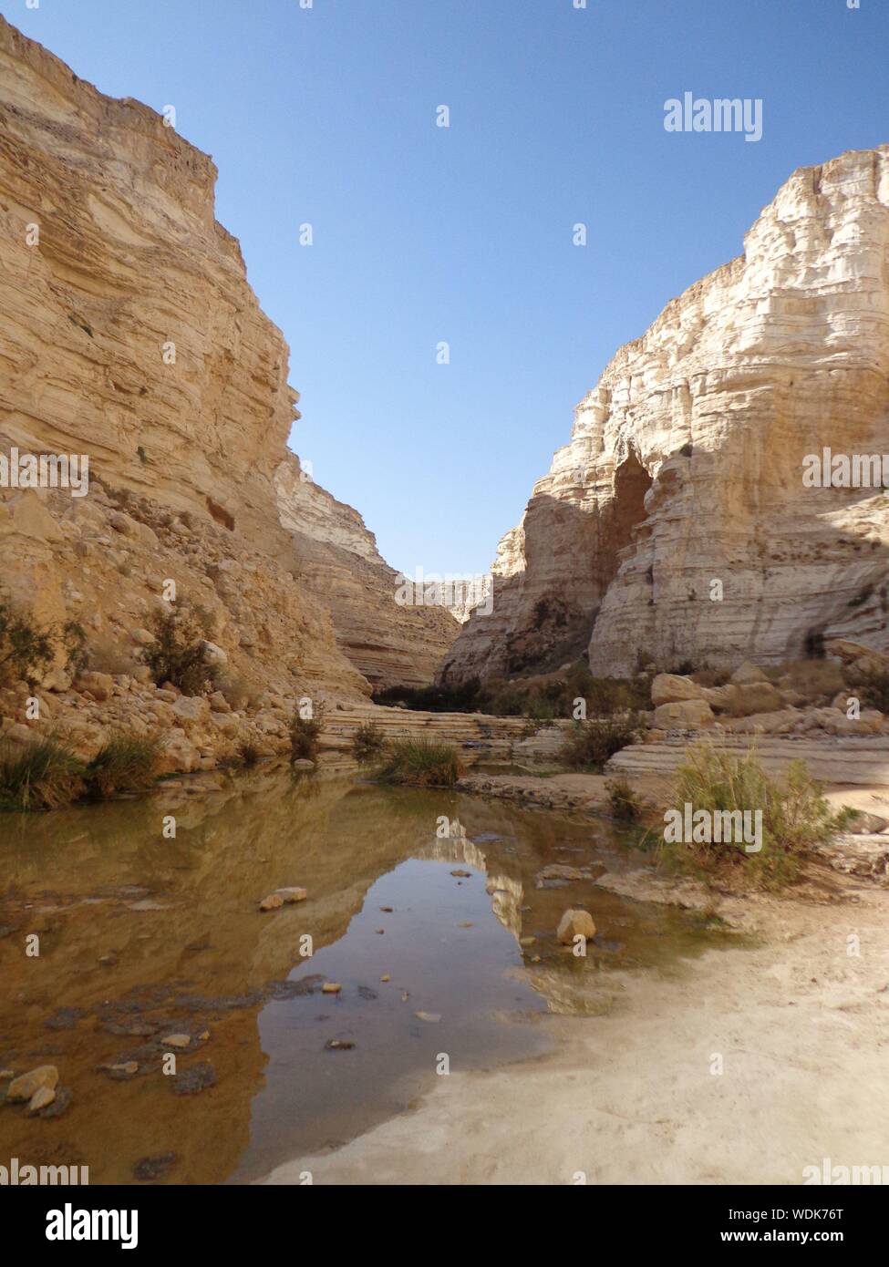 Clear puddle hi-res stock photography and images - Alamy