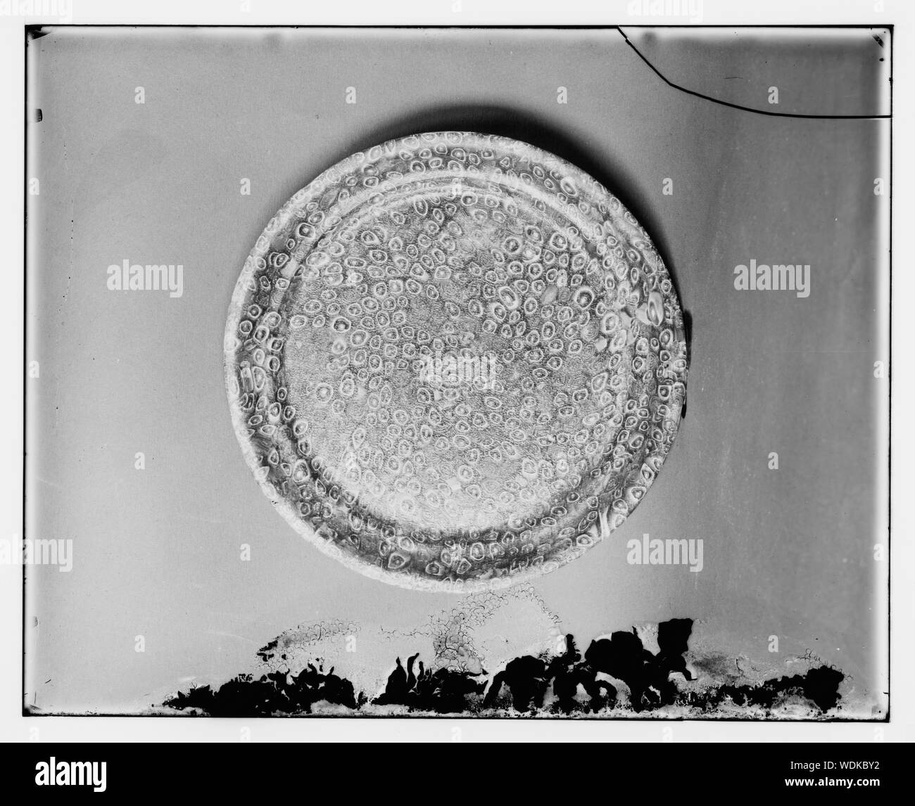 Glass inlayed plate Abstract/medium: G. Eric and Edith Matson ...