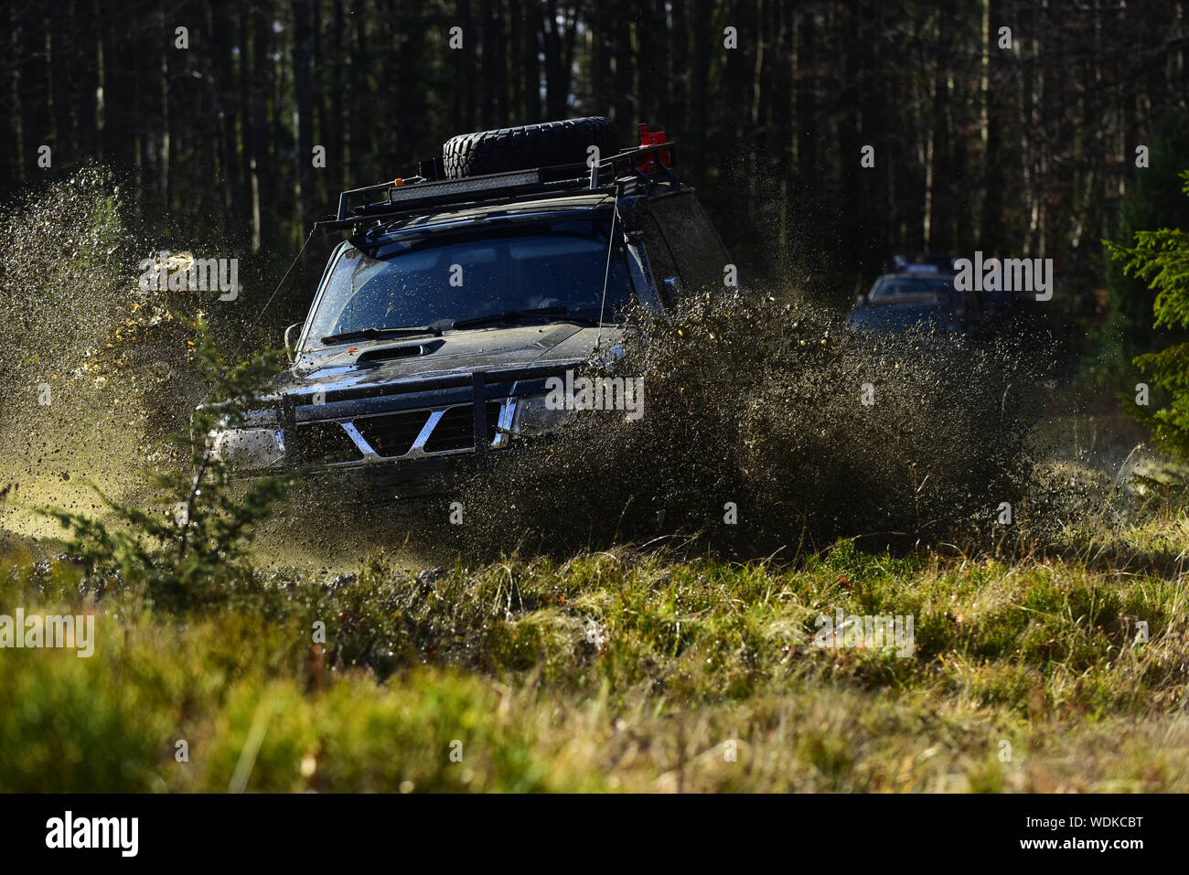 Offroad race on fall nature background. Cars racing in autumn forest ...