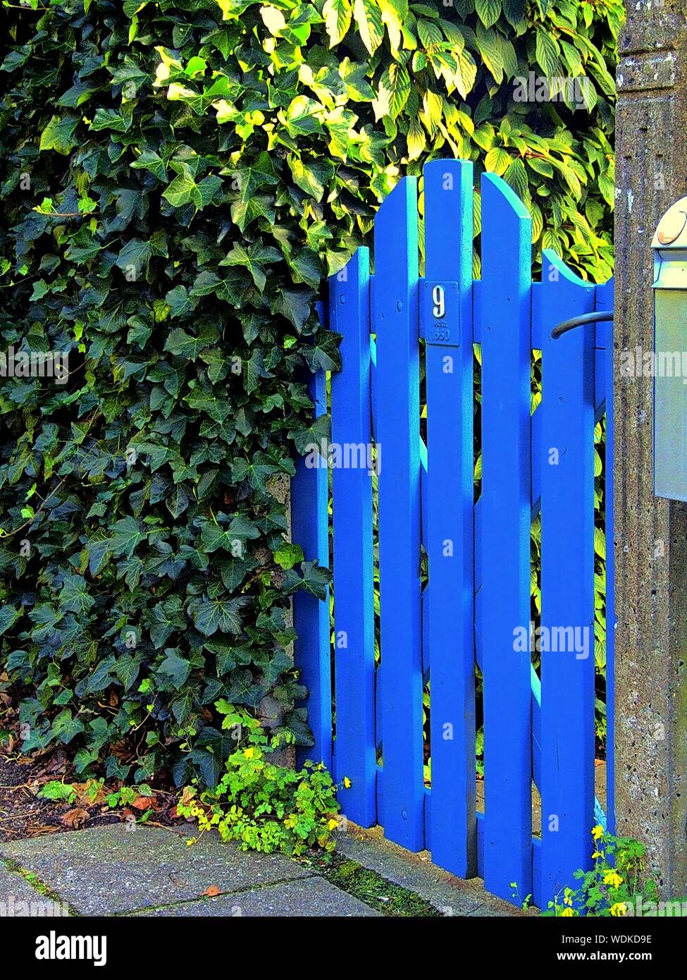 Gate plants hi-res stock photography and images - Alamy
