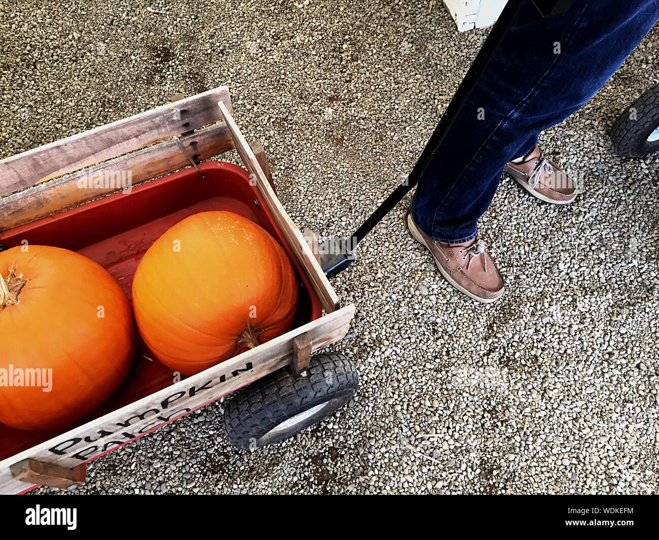 Pumpkin basket hi-res stock photography and images - Alamy