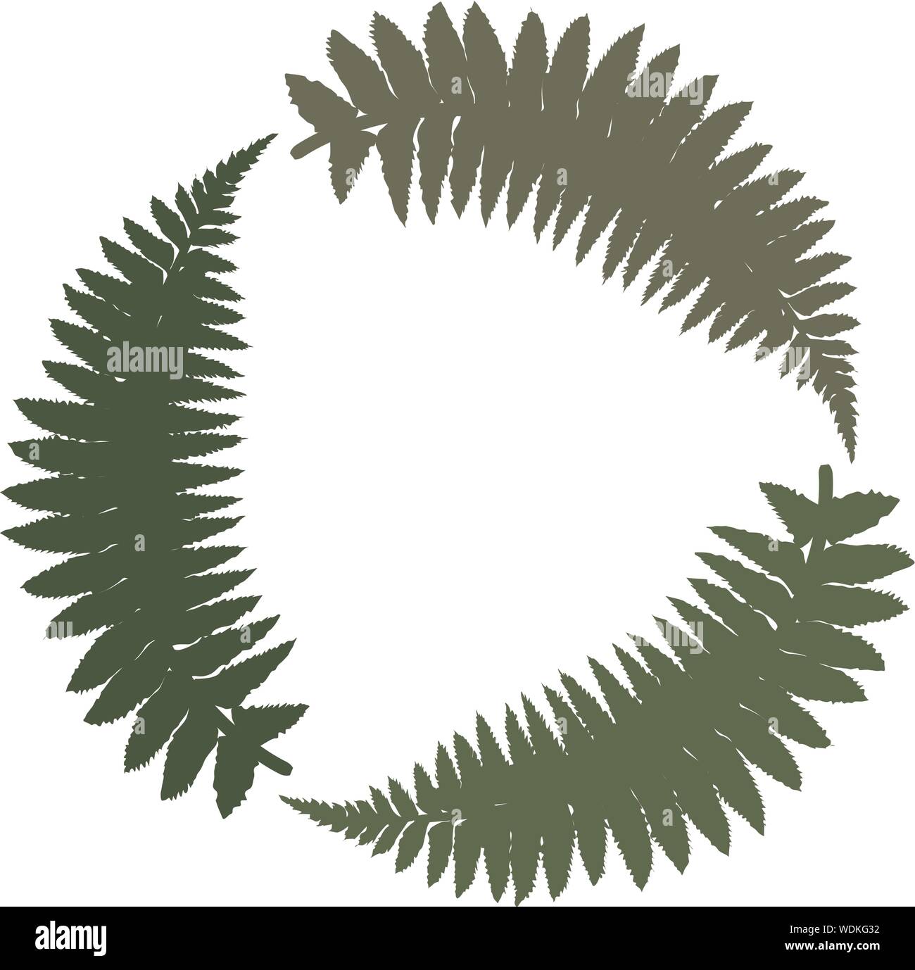 Ferns natural Stock Vector Images - Alamy