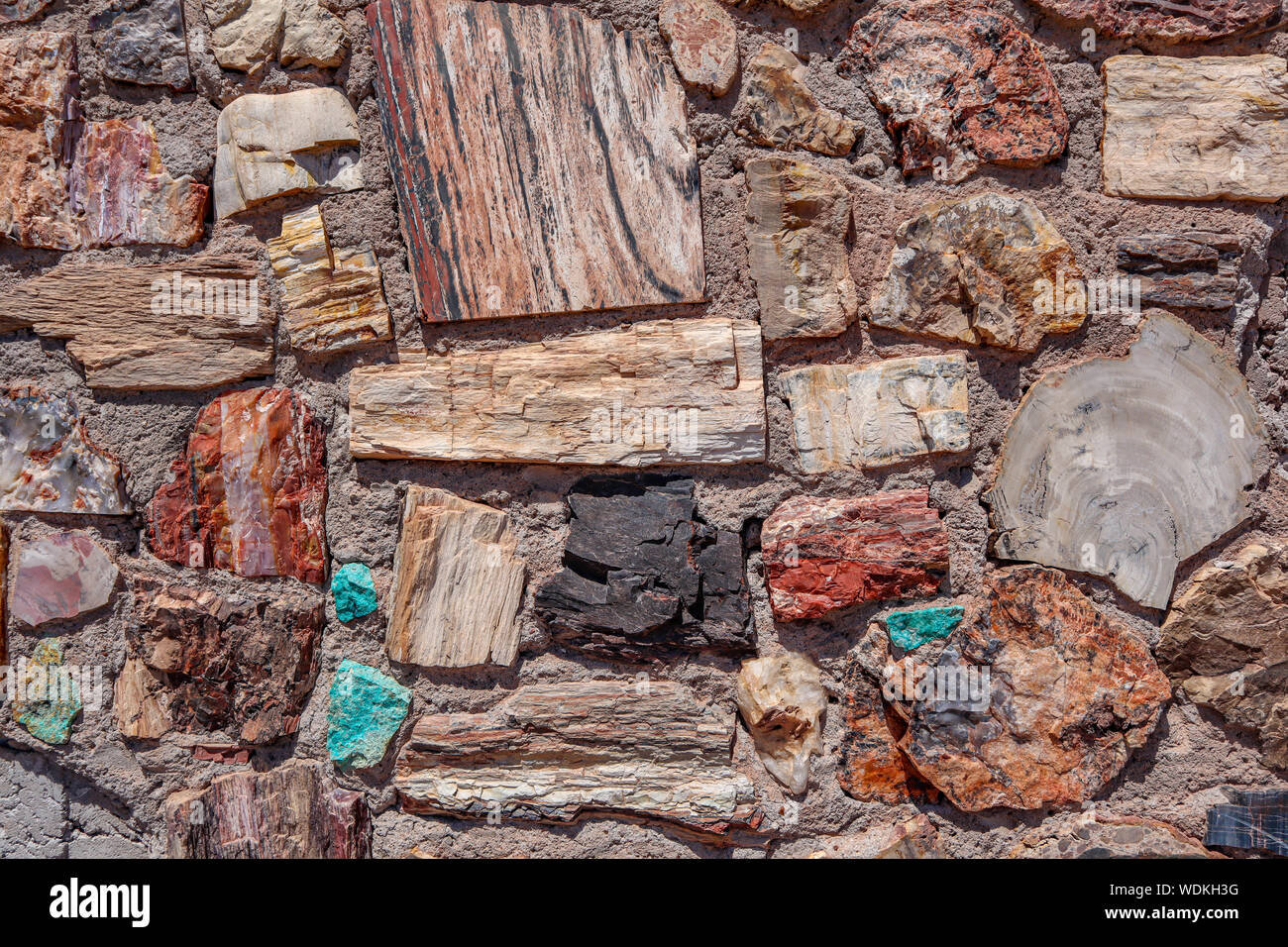 Colorful Holbrook Petrified Wood Wall Stock Photo - Alamy