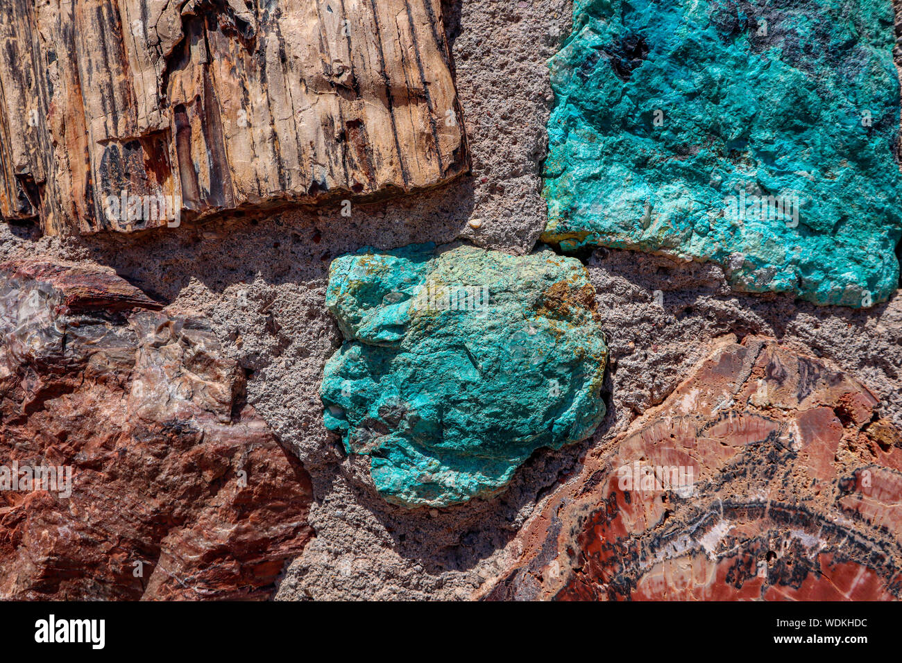 Holbrook Arizona Petrified Wood Rock Wall Stock Photo - Alamy