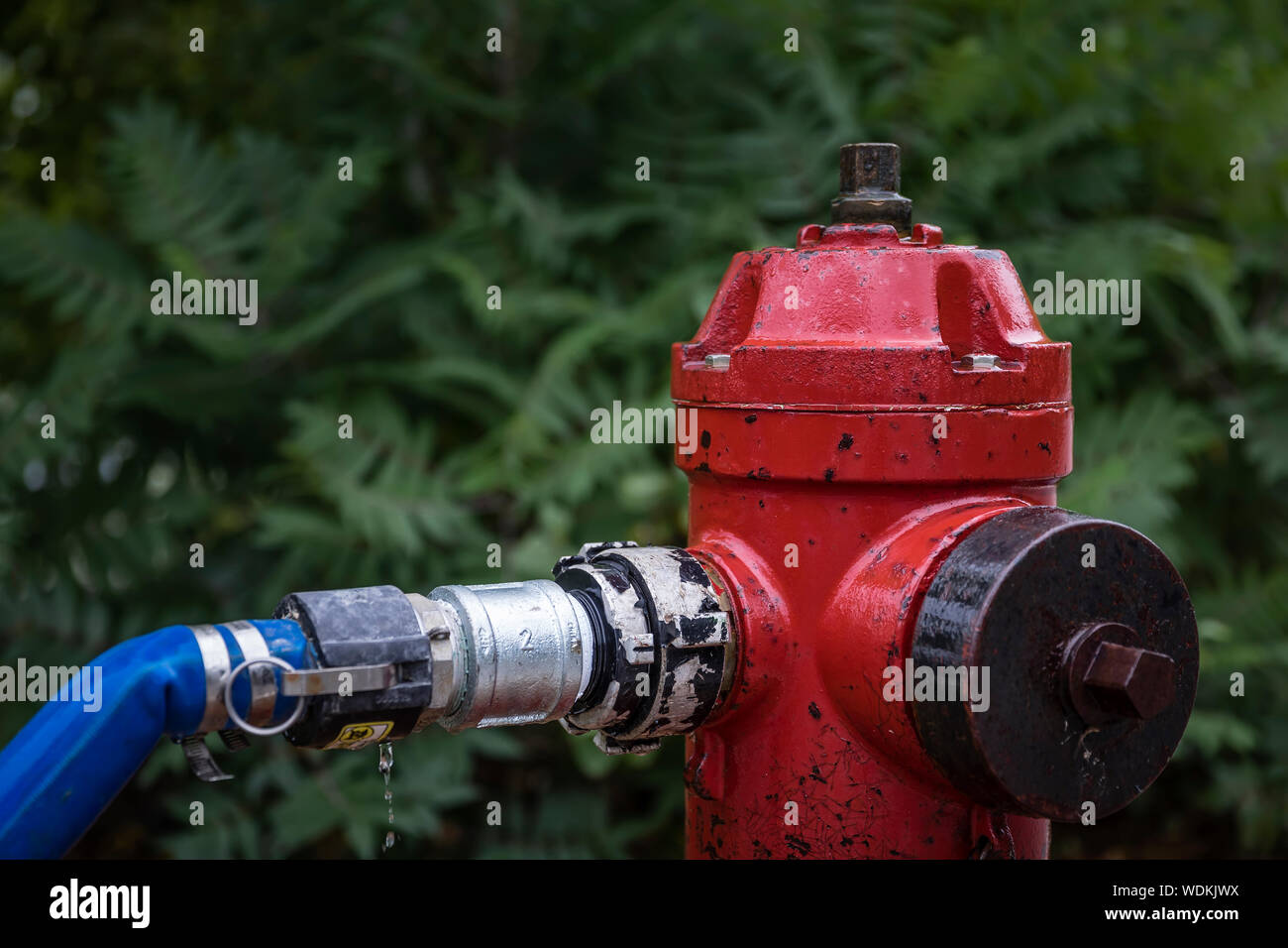 Red fire hydrant, Manitoba, Canada Stock Photo - Alamy