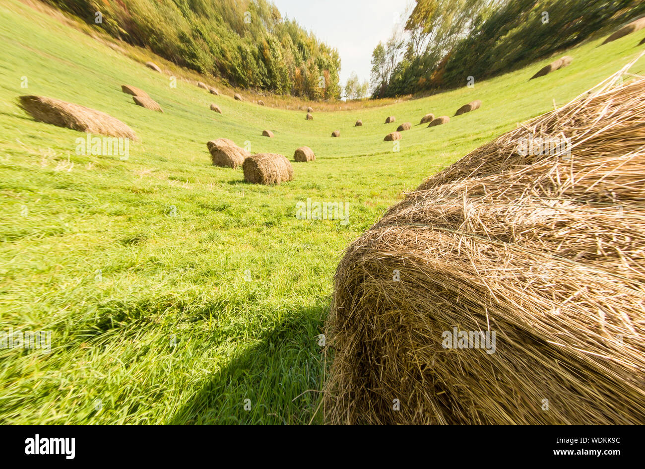 Eye on fish hi-res stock photography and images - Alamy