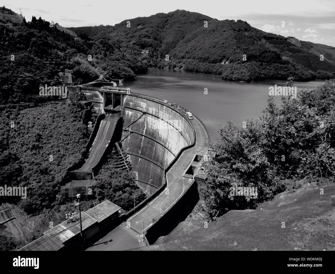 Dam tree hi-res stock photography and images - Alamy