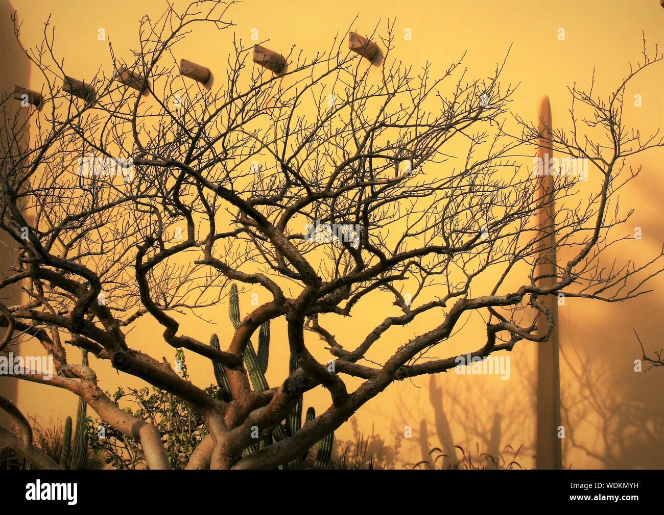 Adobe santa fe homes hi-res stock photography and images - Alamy