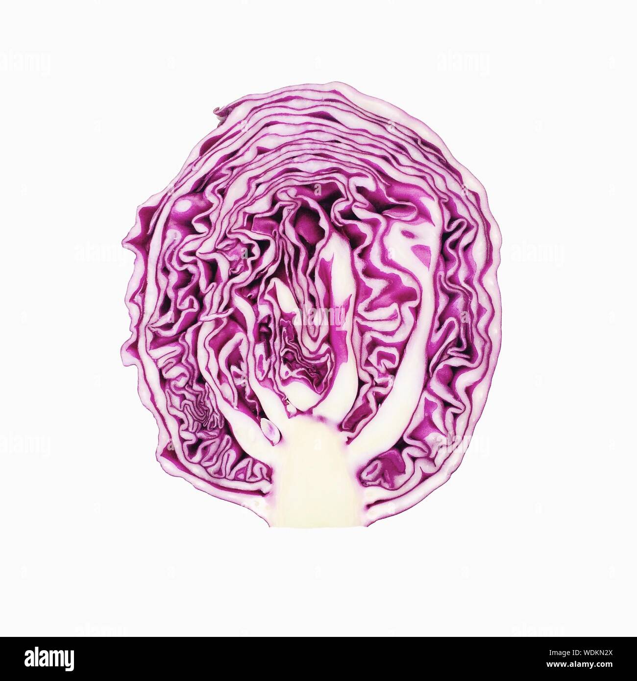 Cross Section Close Up Red Cabbage High Resolution Stock Photography ...
