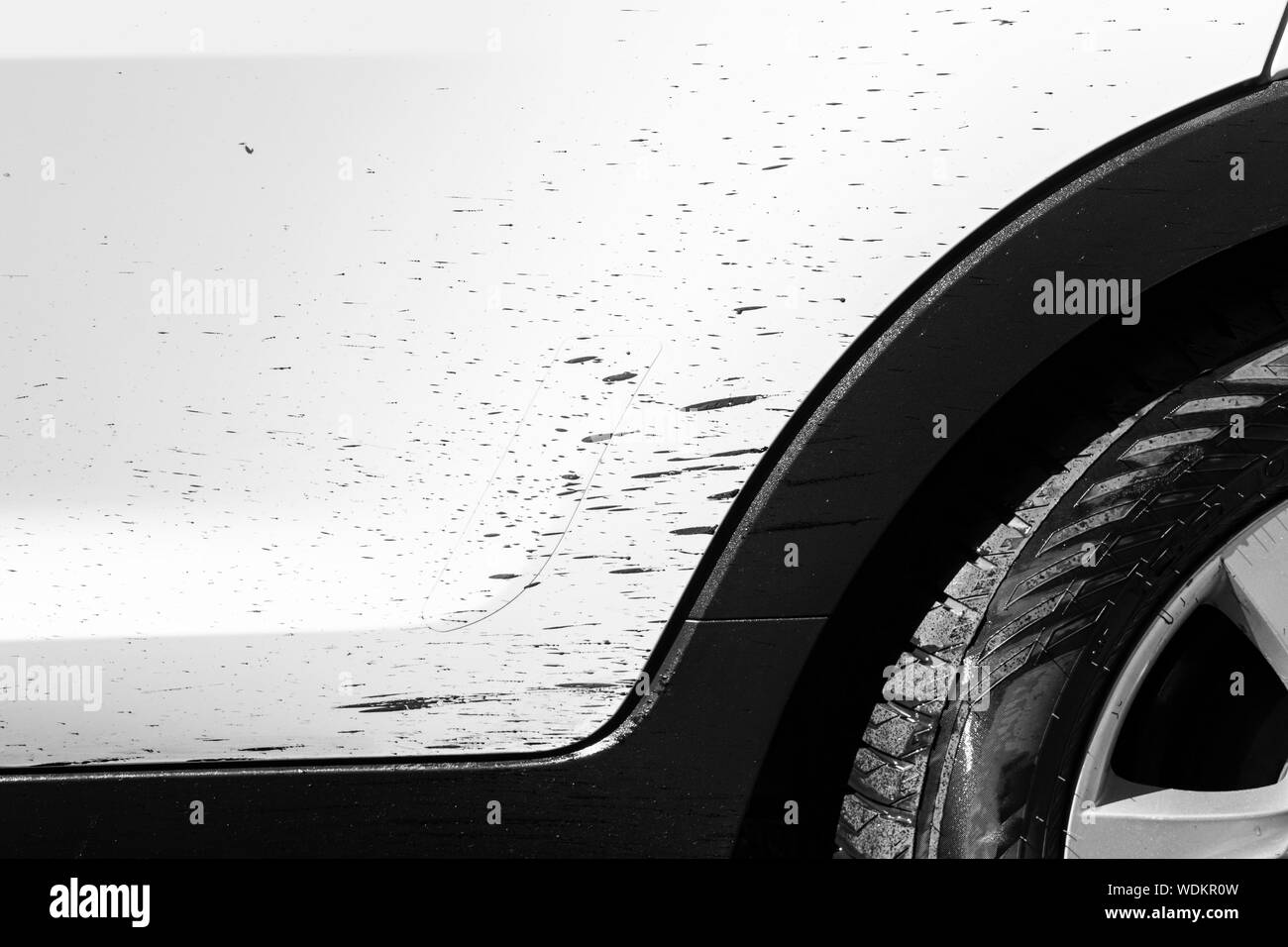 Side view of a very dirty car with bitumen stain. Fragment of a dirty ...