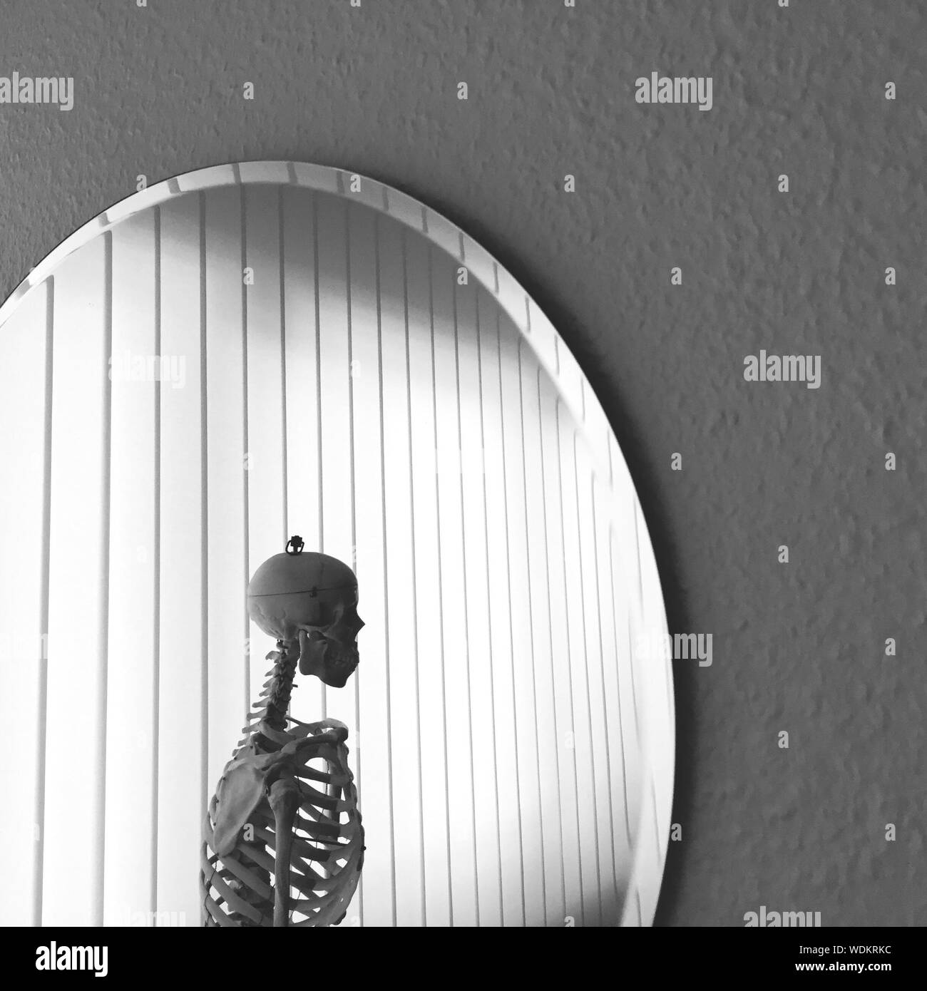 Skeleton in cage hi-res stock photography and images - Alamy