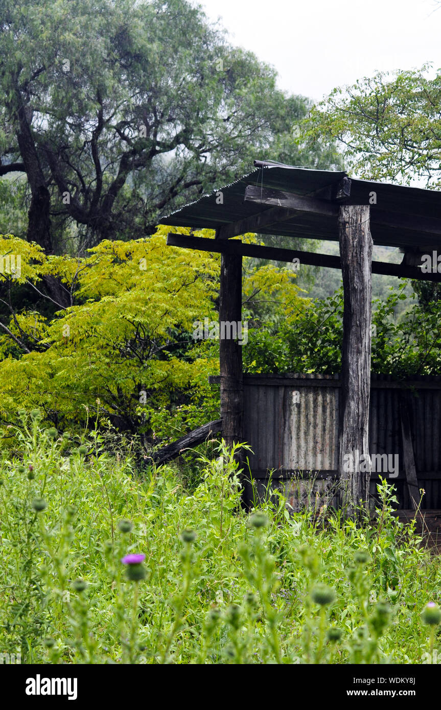 Old Farm Yards Linville Queensland Australia Stock Photo - Alamy
