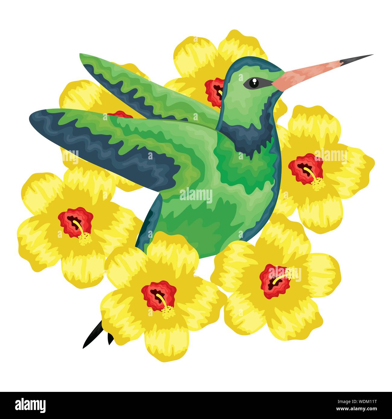 Humminbird Stock Vector Images - Alamy