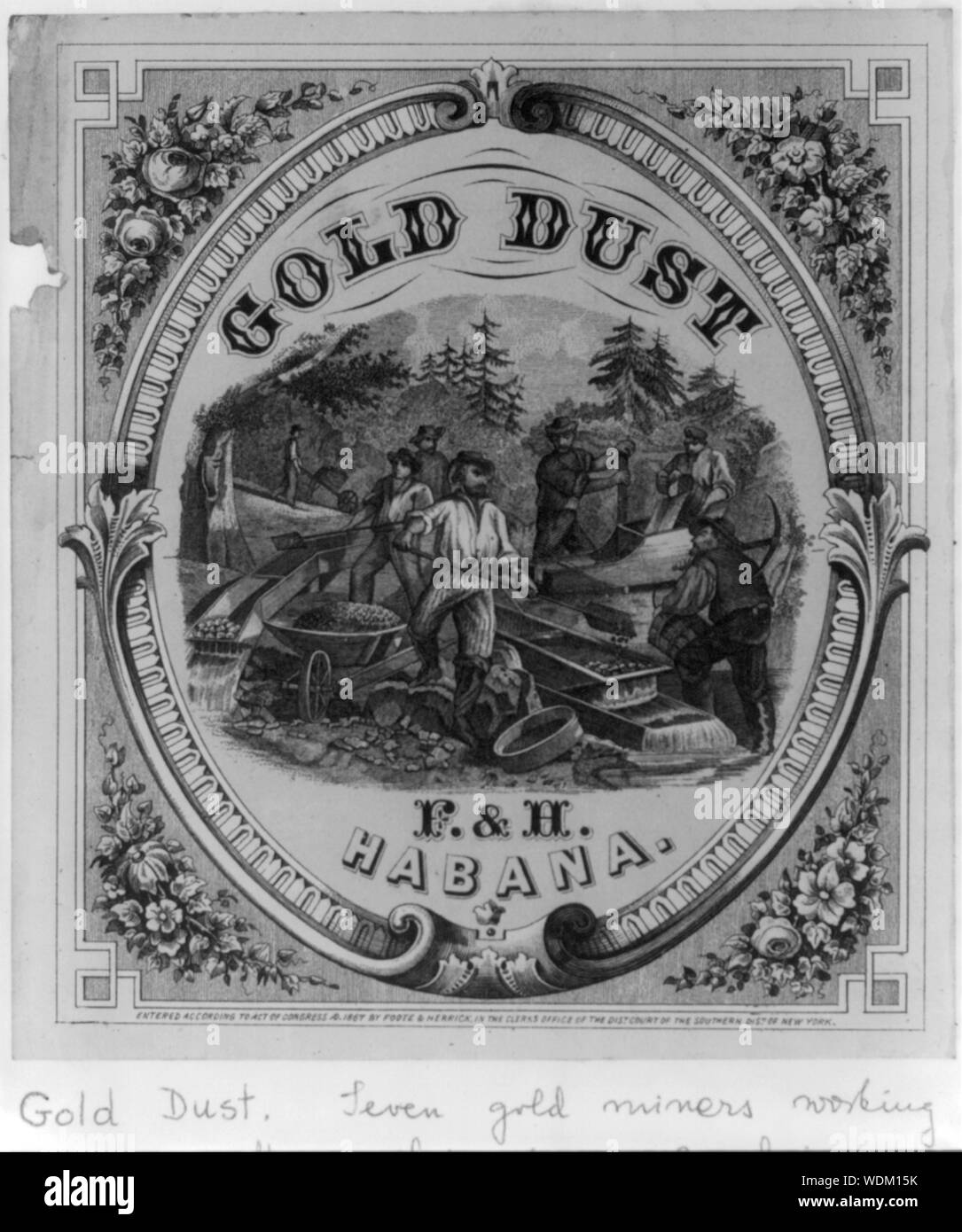 Gold dust Black and White Stock Photos & Images - Alamy