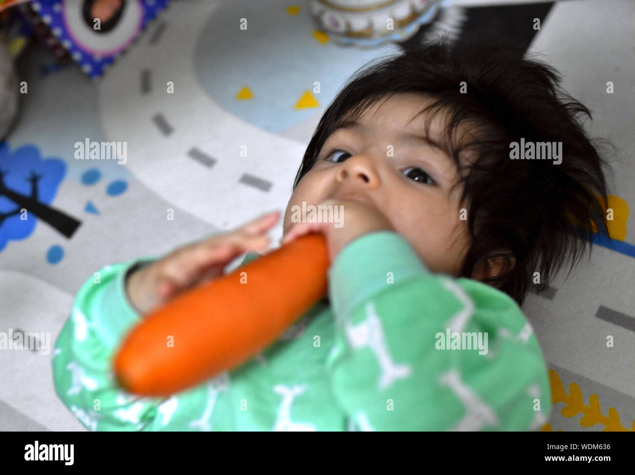 Girl eating carrot hi-res stock photography and images - Alamy