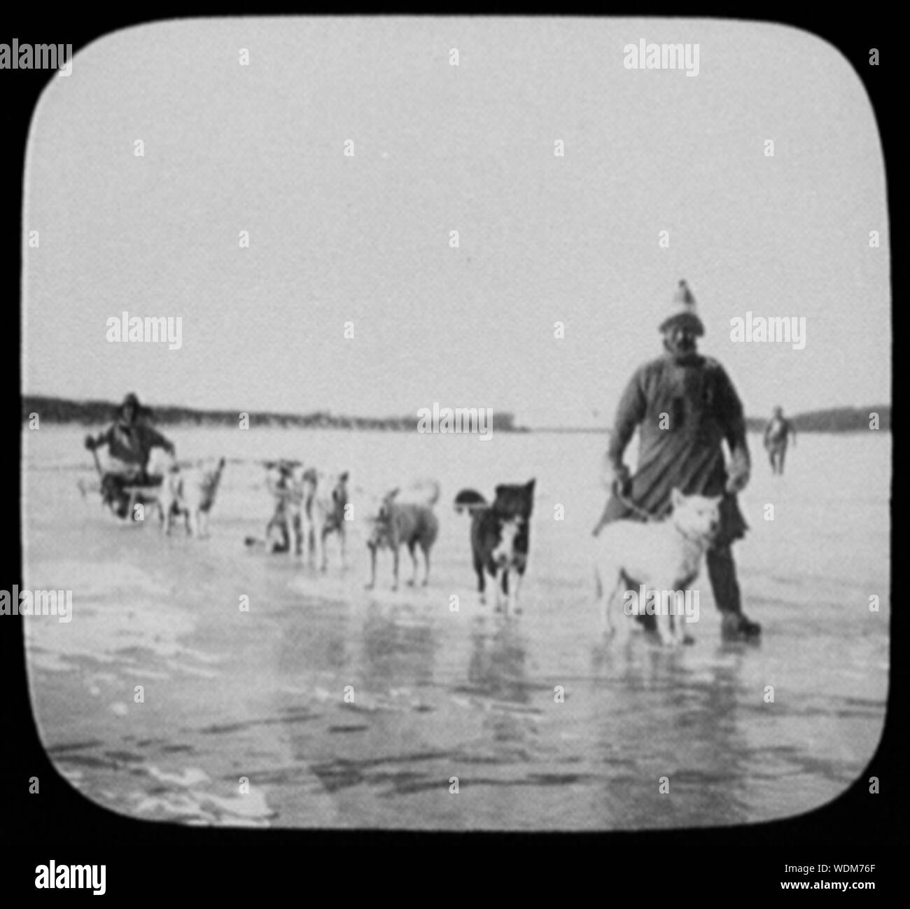 Men with dog sled hi-res stock photography and images - Alamy