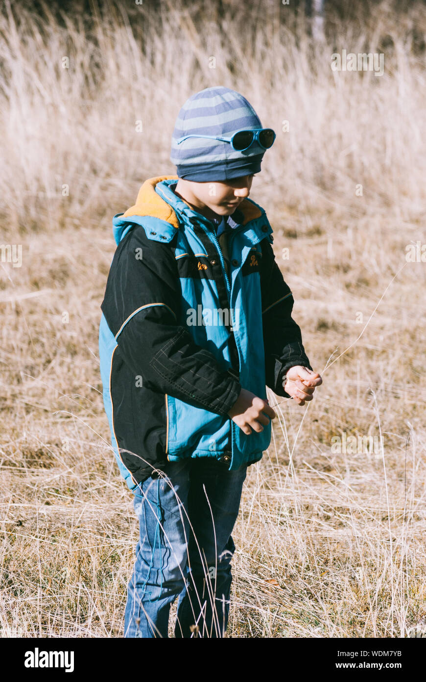 Cute field hi-res stock photography and images - Alamy