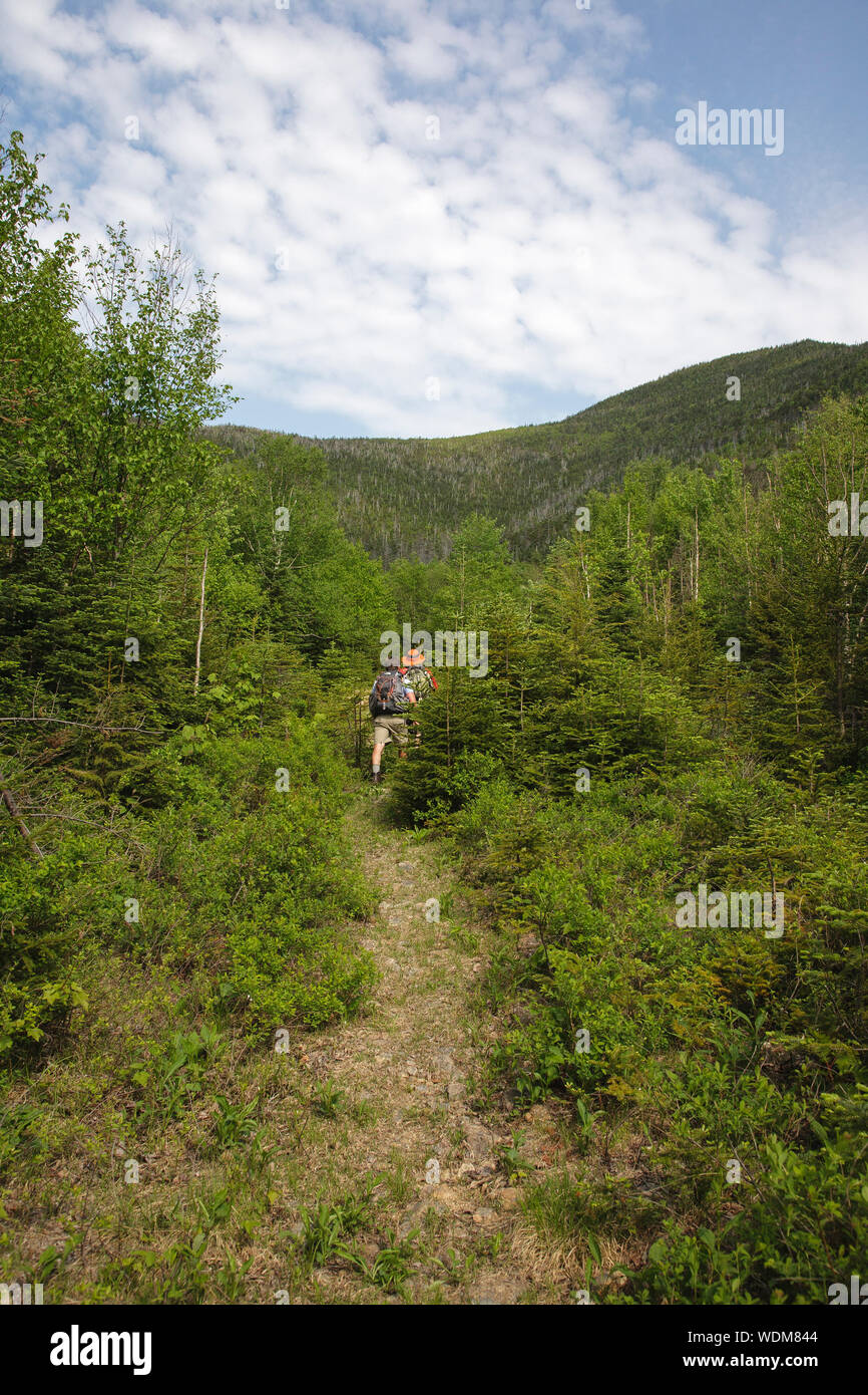 Hikers on the Timber Camp Trail in Livermore, New Hampshire; part of ...