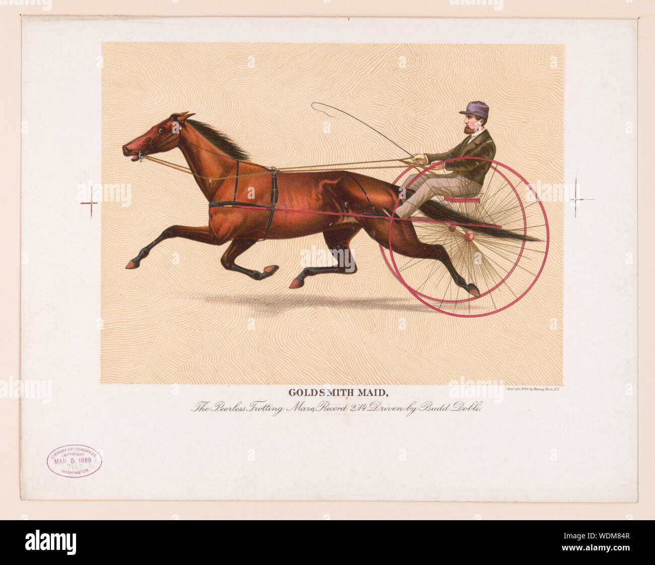 Goldsmith maid hi-res stock photography and images - Alamy