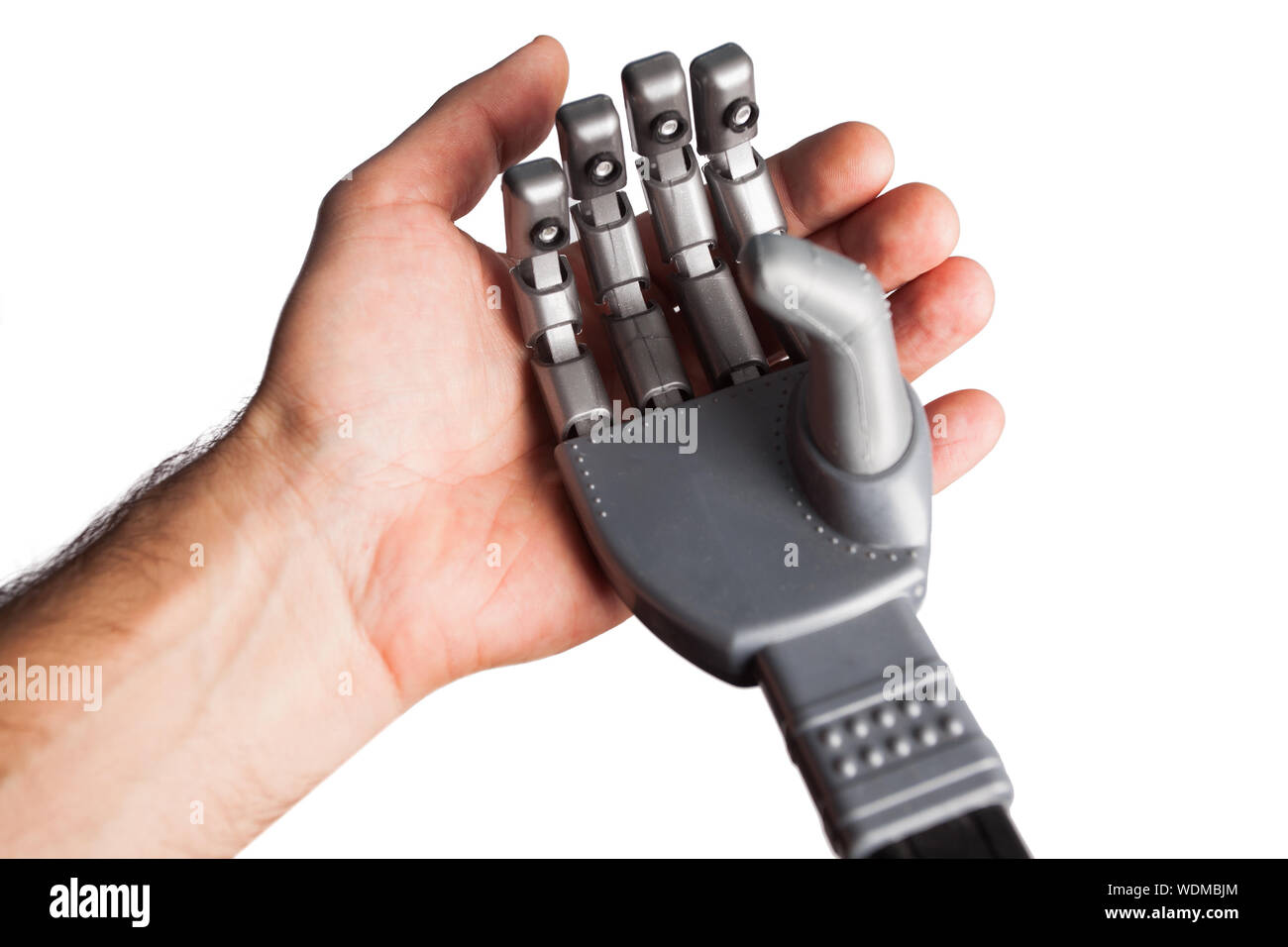 Cropped Image Of Man Holding Robot Hand Against White Background Stock ...
