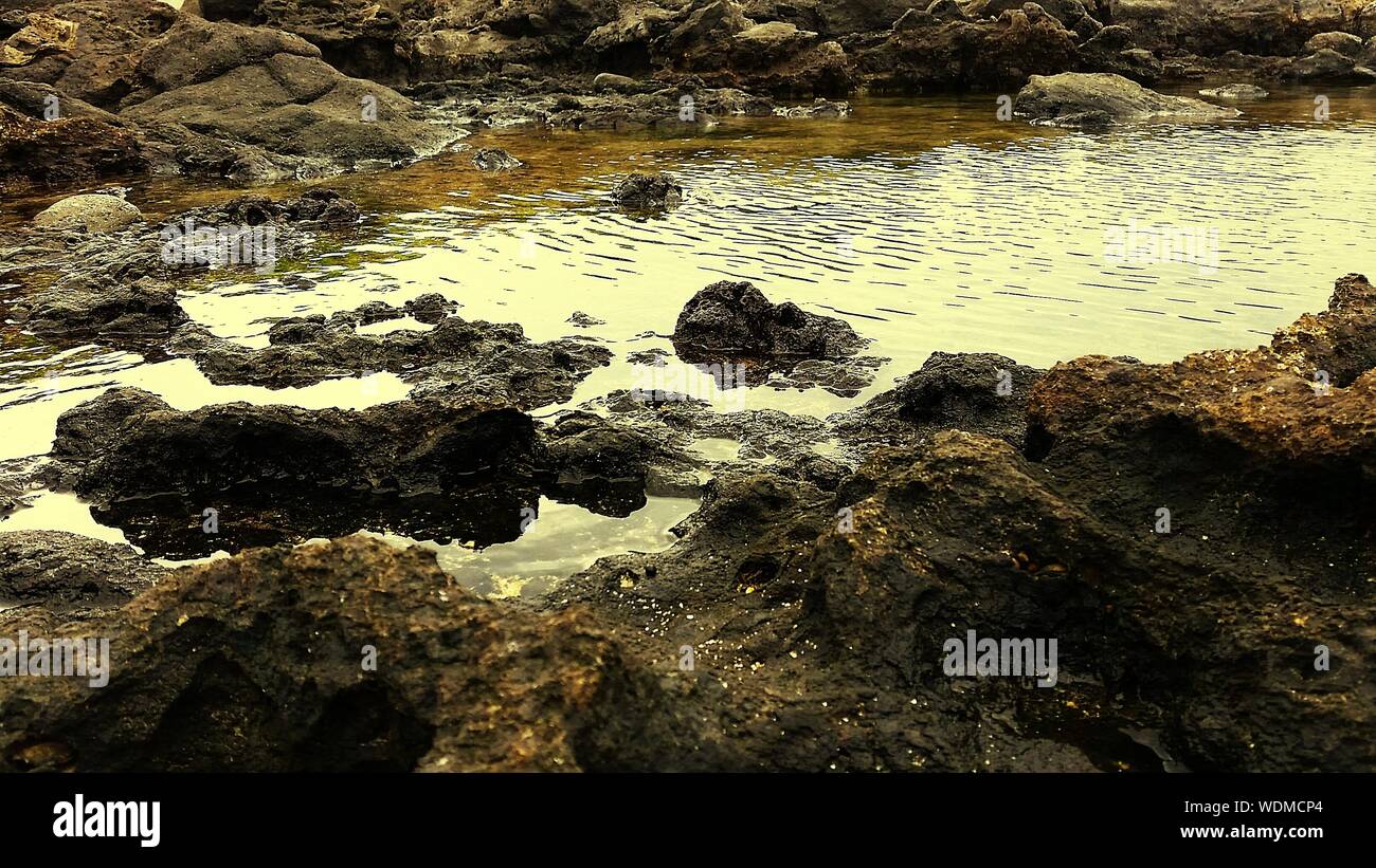 Tidal Rock Pool High Resolution Stock Photography and Images - Alamy