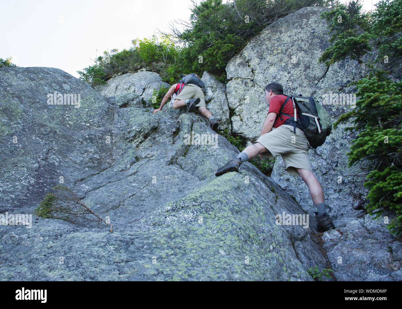 Hikers ascending the Six Husbands Trail in the Great Gulf Wilderness in ...