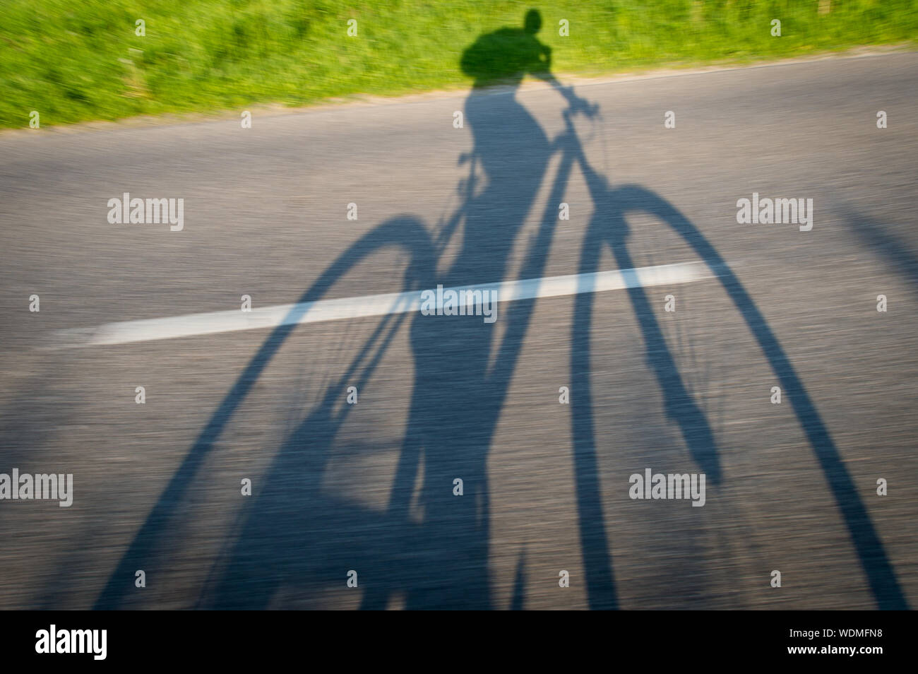 Shadow Of Person Riding Bicycle On Road Stock Photo - Alamy