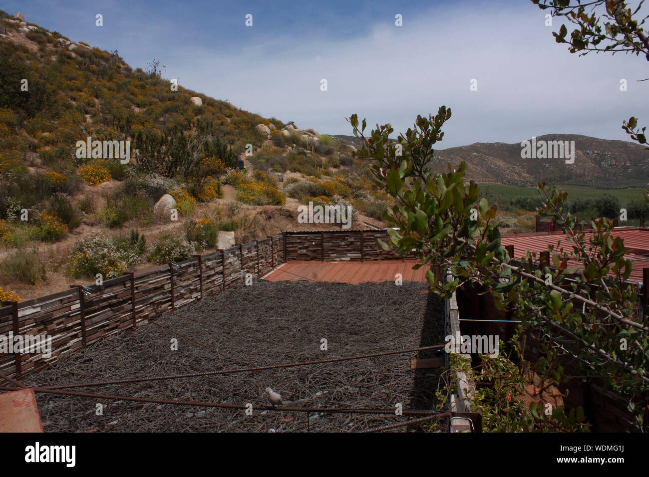 Mountains in Ensenada Baja California Mexico with interesting giant ...