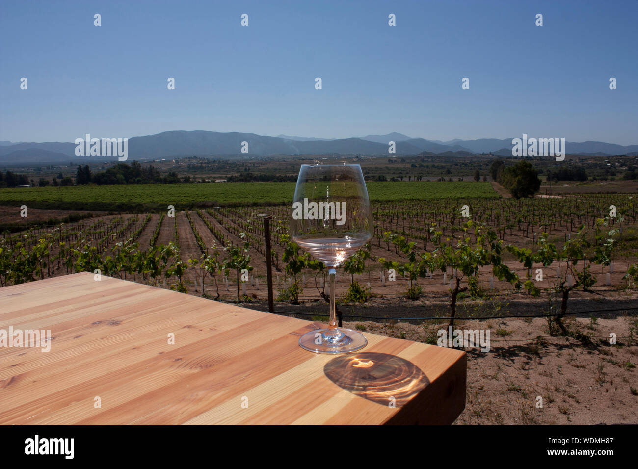 Hectare of vineyards seen through refraction effect by means of a glass ...