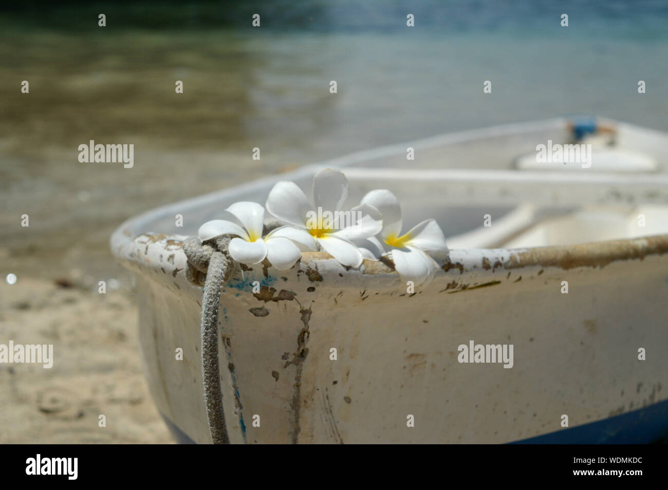 Flowers and boat hi-res stock photography and images - Alamy