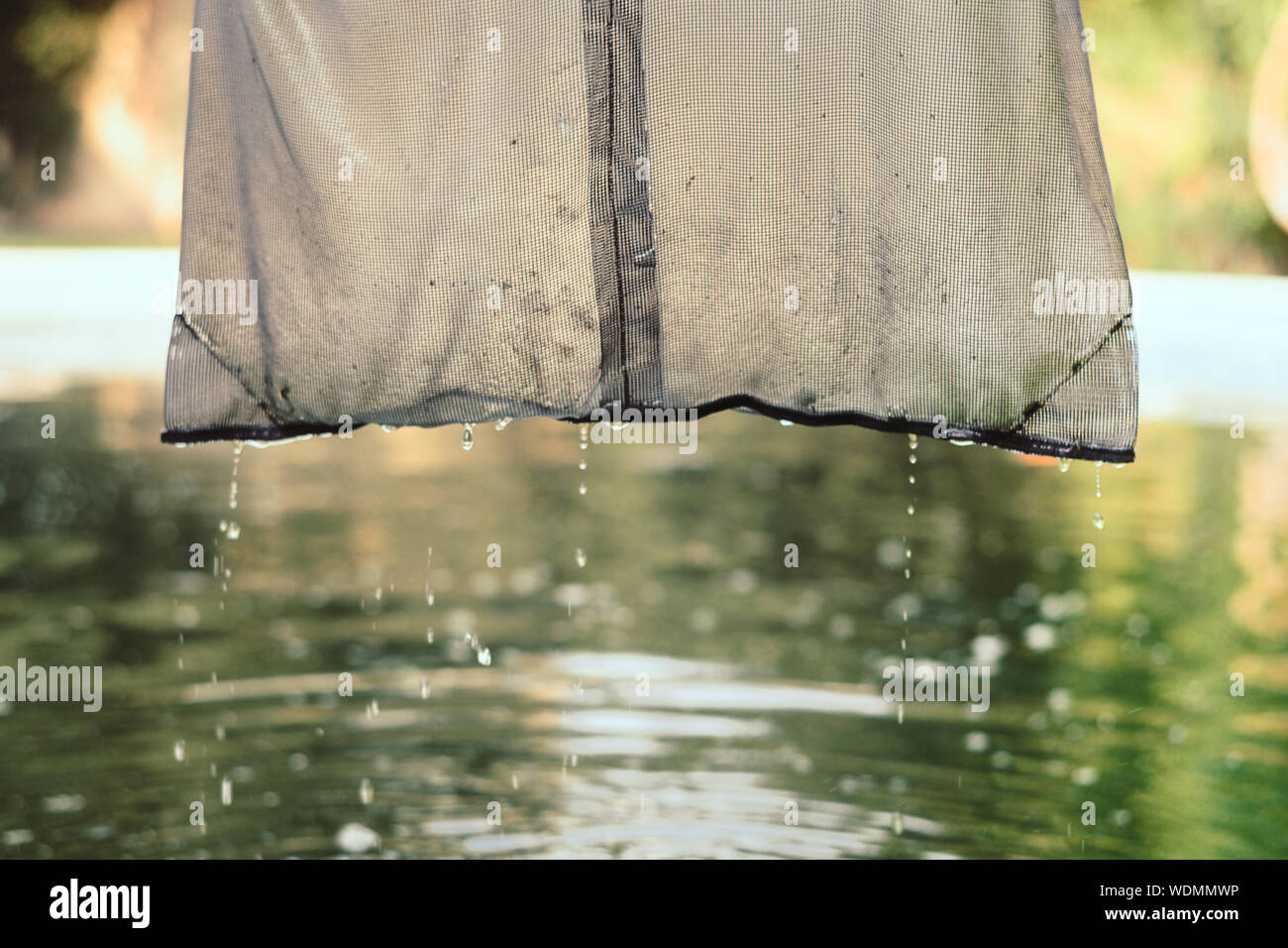 Close-up Of Dripping Water From Skimmer Net Stock Photo - Alamy