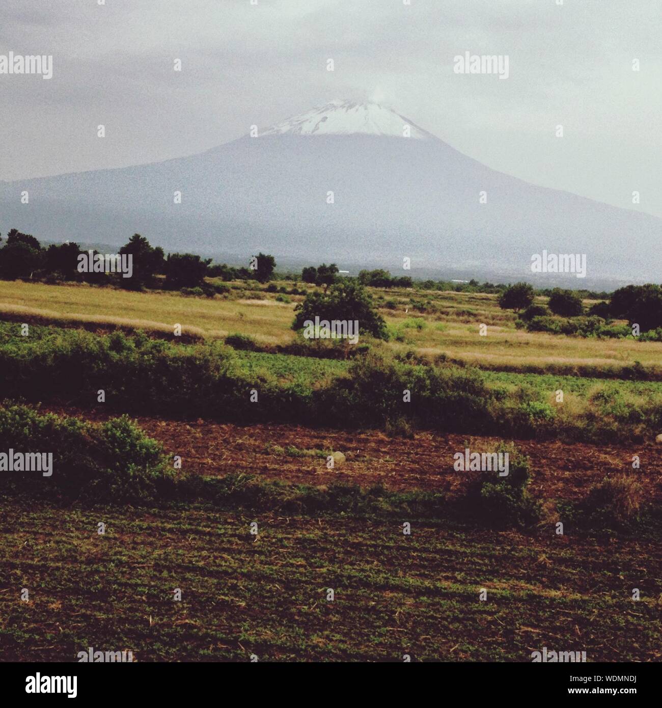 Popocatepetl volcano hi-res stock photography and images - Alamy