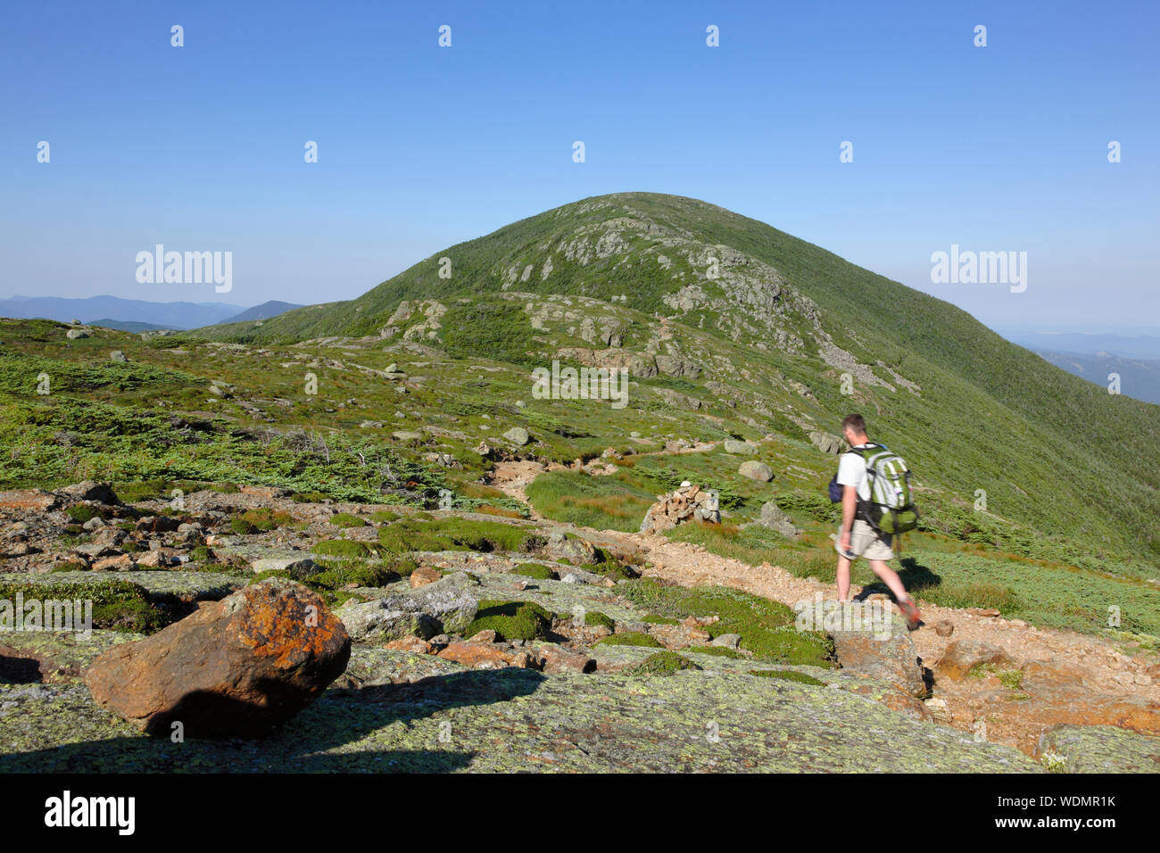 Hiker traveling south along the Crawford Path (Appalachian Trail) in ...