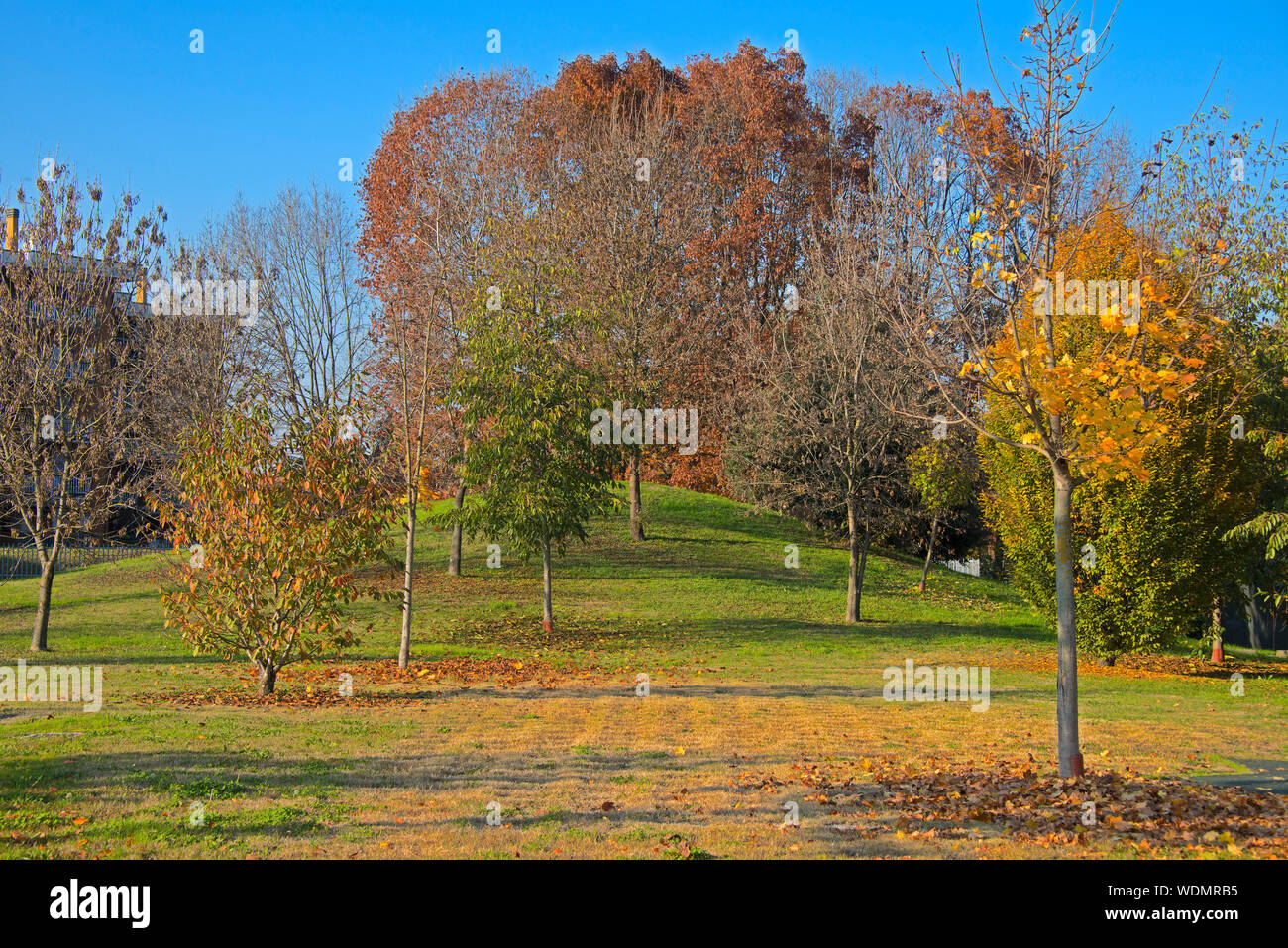 Liscate hi-res stock photography and images - Alamy