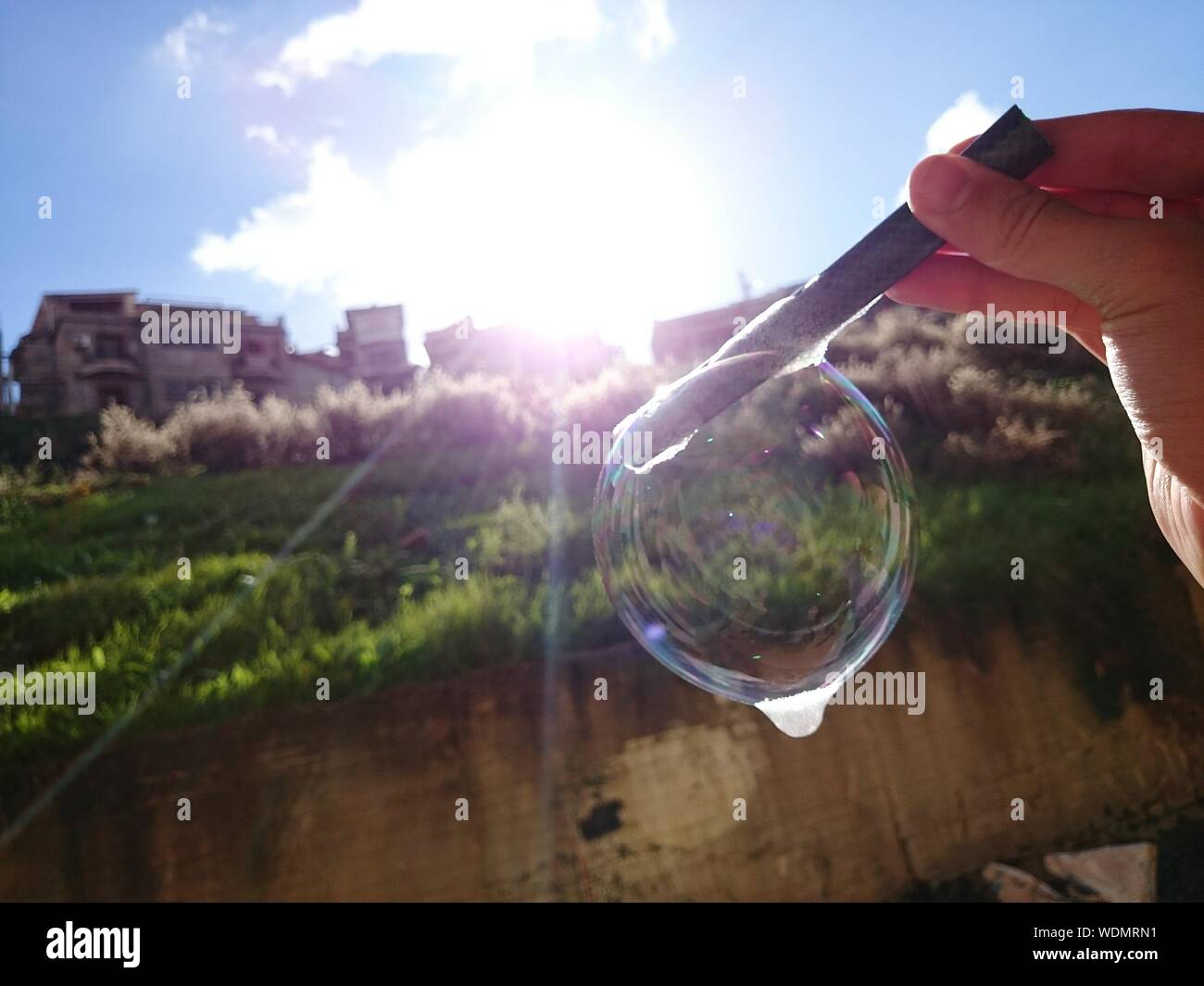 Hand holding bubble wand hi-res stock photography and images - Alamy